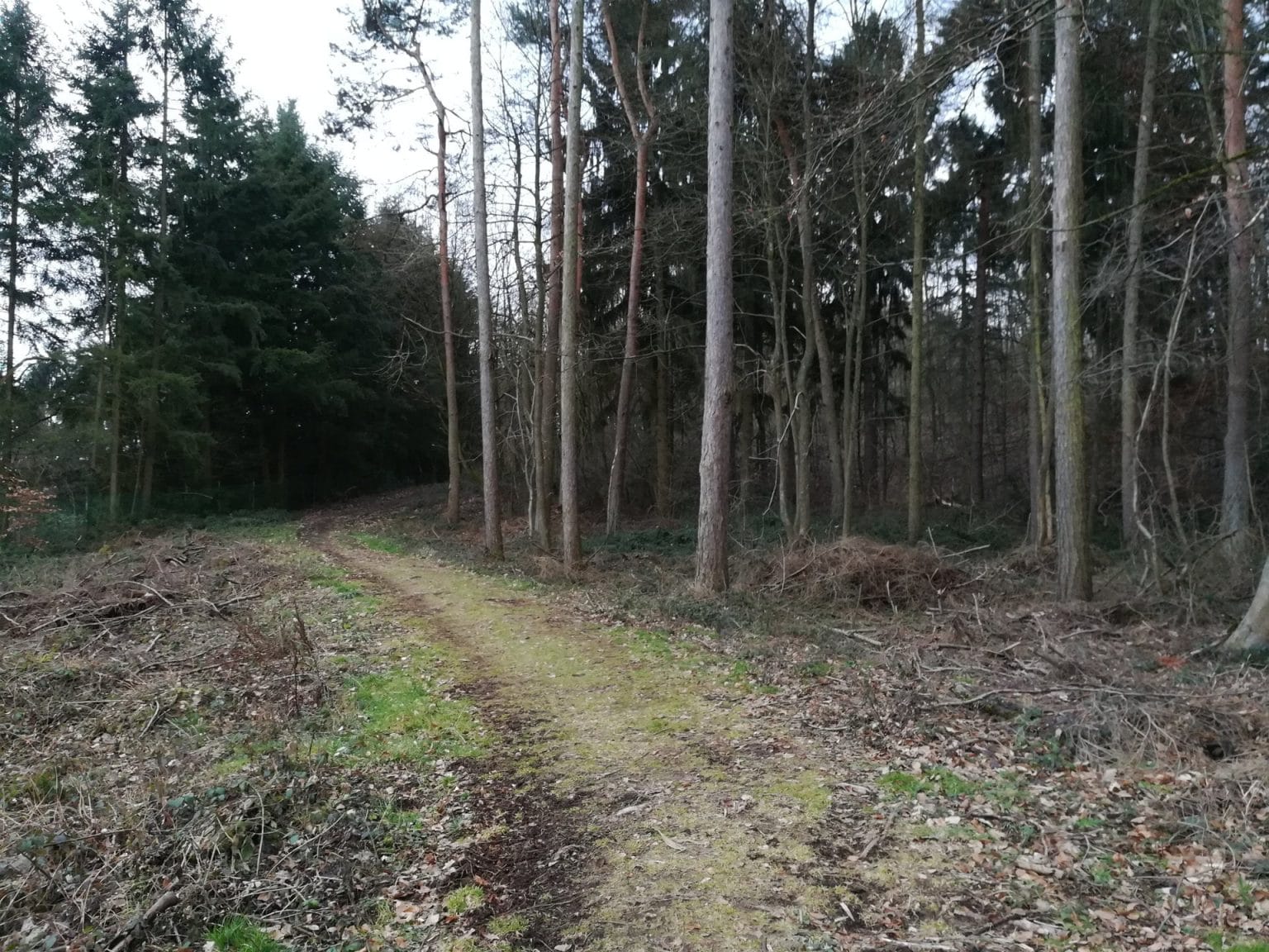 Honor 6X Testbericht - Mittelklasse mit Dual-Kamera